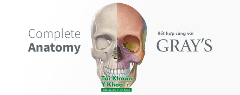 Tài Khoản Complete Anatomy 2022 Bản Quyền Chính Hãng. (Tháng 5 2026)